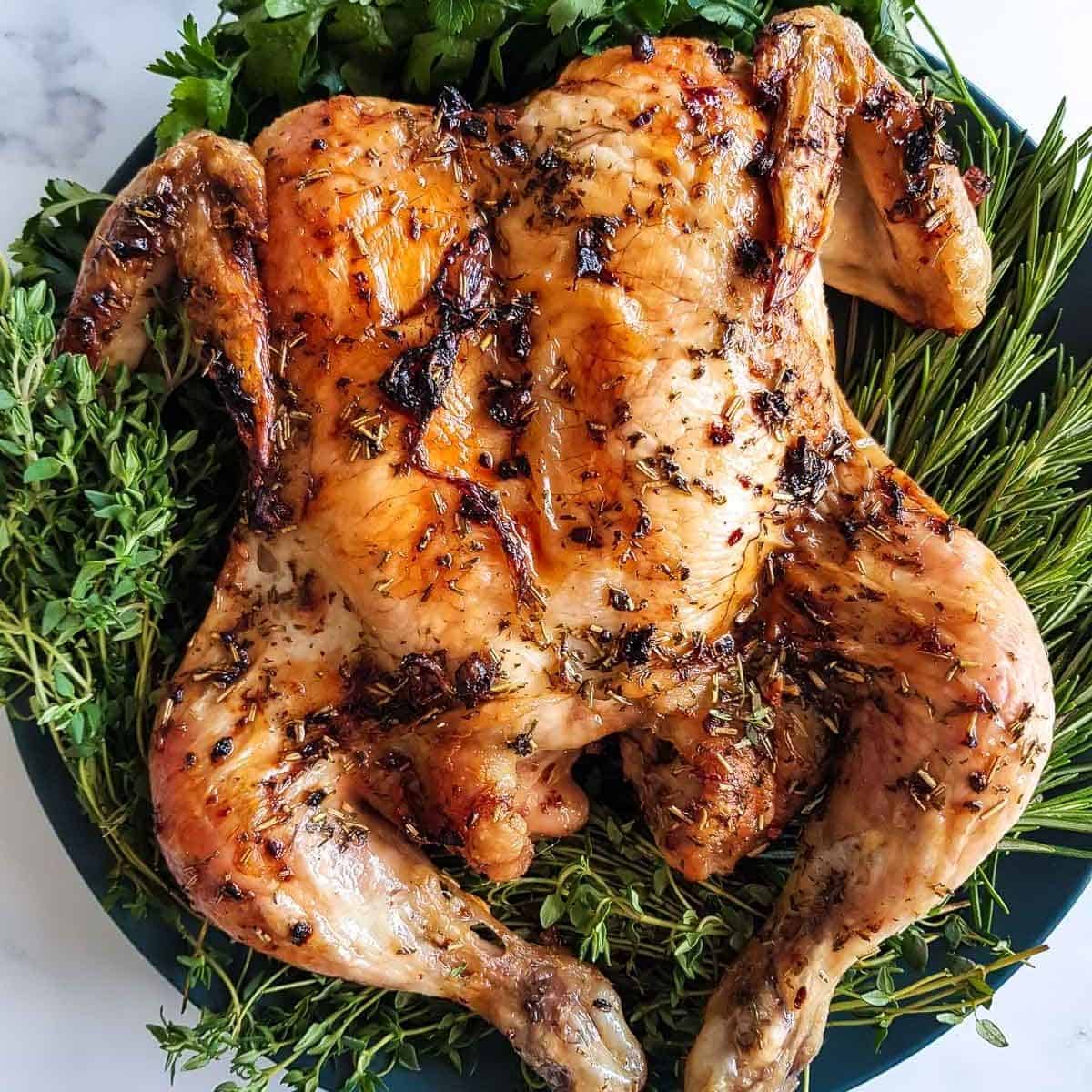 The Best Spatchcock Chicken | Hint of Healthy
