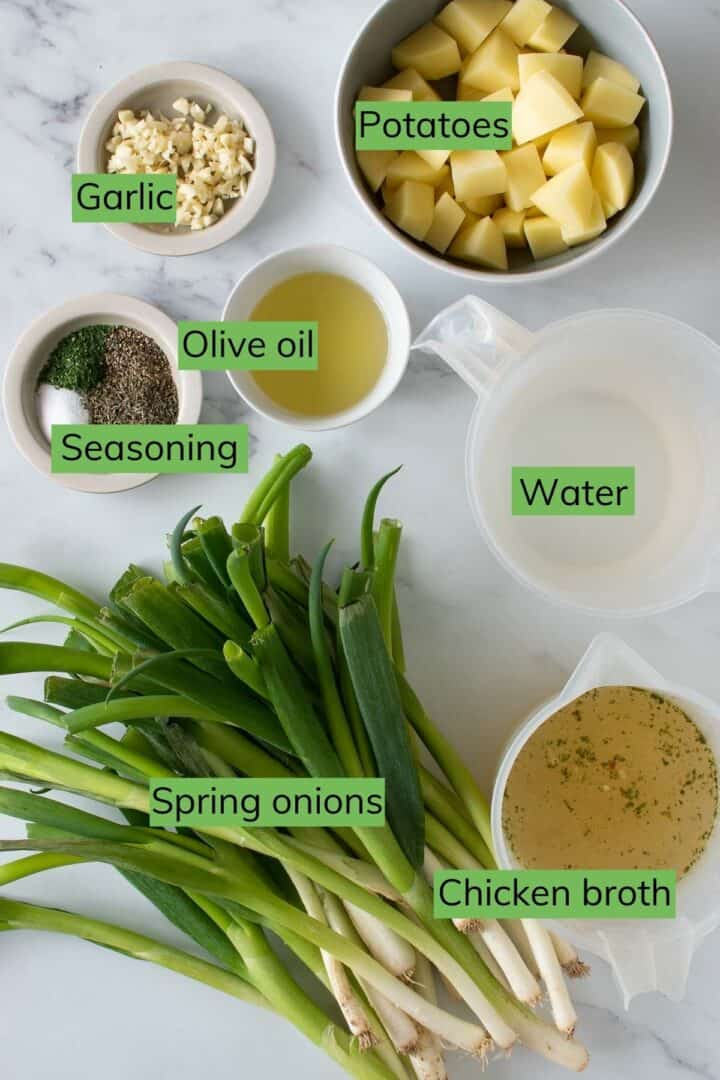 Spring Onion Soup Recipe - Hint of Healthy